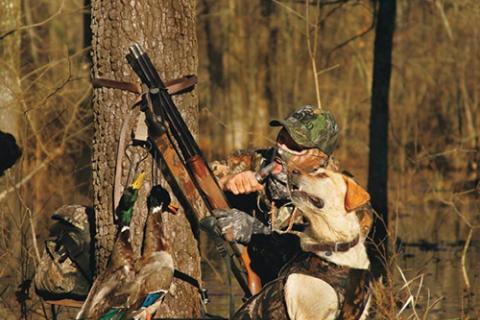 Choosing a Shotgun | Bass Pro Shops